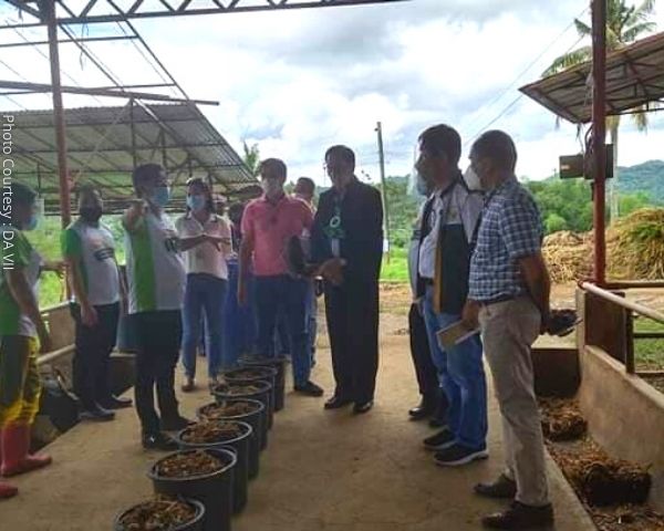 DA namahagi ng mahigit P91-M sa mga magsasaka at mangingisda sa Cebu ... DA namahagi ng mahigit P91-M sa mga magsasaka at mangingisda sa Cebu ...