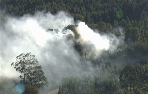 Colombia nasa red alert dahil sa forest fires - Radyo La Verdad - Radyo ...